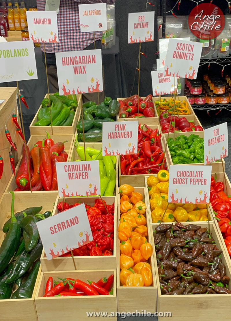 Tipos de Aji en Nueva Zelanda – Chilli peppers at the Auckland Food ...